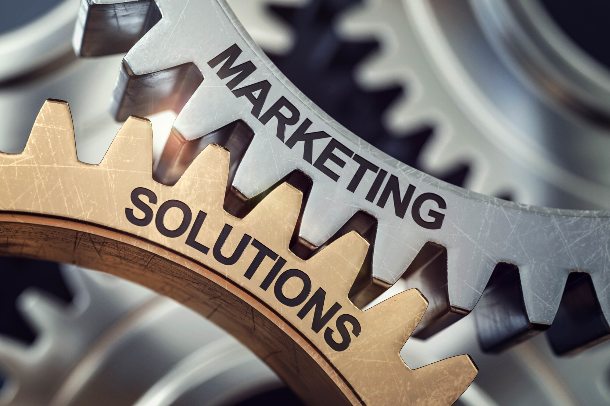 The B2G Marketing 101 | Cadence Marketing